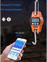 China 300kg Hanging Crane Scale with Bluetooth Function and LED/LCD Display ABS Stainless Steel Grey Color OEM/ODM Customized for sale