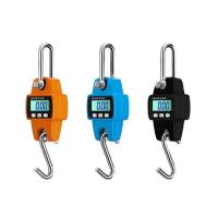 China Livestock and Hunting Equipment Hanging Crane Type Digital Mini Scale 100kg 200kg 300kg Diecast Electronic Weighing Scales for sale