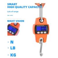 China LCD Display ABS Stainless Steel Portable 300kg Digital Crane Game Scale Small Hanging for Fishing or Hunting Customizable for sale