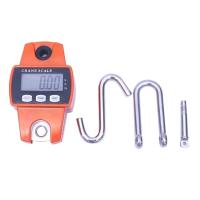 China LCD Display ABS Stainless Steel Portable 300kg Digital Crane Game Scale Small Hanging for Fishing or Hunting Customizable for sale