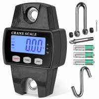 China ABS Stainless Steel Digital Crane Weighing Scale 100kg-300kg Capacity LED/LCD Display Tare Function OEM ODM Supported for sale