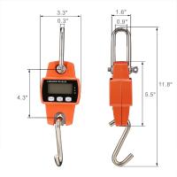 China ABS Stainless Steel Digital Crane Weighing Scale 100kg-300kg Capacity LED/LCD Display Tare Function OEM ODM Supported for sale
