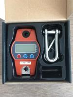 China ABS Stainless Steel Digital Crane Weighing Scale 100kg-300kg Capacity LED/LCD Display Tare Function OEM ODM Supported for sale