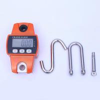 China CE ROHS Certified 300kg Electronic Hanging Crane Scale with Digital LED Display and ABS Stainless Steel Material for sale