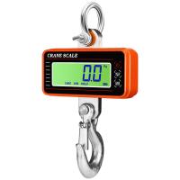 China Blue Aluminum Alloy Stainless Steel Precision Hanging Crane Weighing Scale 100kg 300kg 500kg 1000kg 1t With OIML Approval for sale