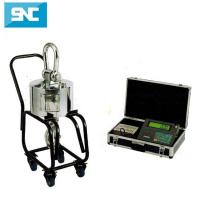 China Proof Load 125% of Capacity Electric Digital Remote Control Crane Scale for 1 Ton 2 Ton 3 Ton 5 Ton 10 Ton 30 Ton 50 Ton for sale