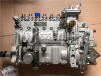 China Weichai Deutz Engine Injection Pump 13030186 13053063 WP6G125E22 15.2kg New for sale