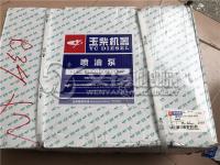 China Engine Fuel injection pump J8004-1111100-493 Yuchai engine spare parts for sale