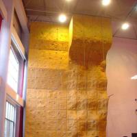 China Gym Equipment For Indoor And Outdoor Rock Climbing Wall Panels for sale