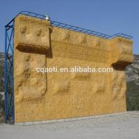 China Gym Equipment For Indoor And Outdoor Rock Climbing Wall Panels for sale