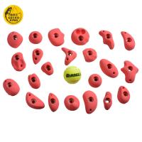 China GeckoKing XS Size GRP Climbing Wall Holds Perfect for Both Beginners and Experts for sale