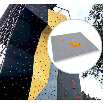 China 5-10 Passenger Indoor Outdoor Bouldering Rock Climbing Walls For Adults for sale