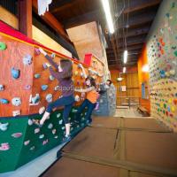 China Upgrade Your Training Center with 3 PIECE GRP Material Adult Rock Climbing Wall Holds for sale