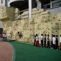 China Composite Fiberglass Rock Climbing Wall Panel for Climbing Gym Max Capacity 100-500kg for sale