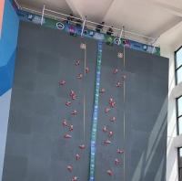 China IFSC Standard Rock Climbing Wall Panel For Gym Improve Climbing Skills for sale