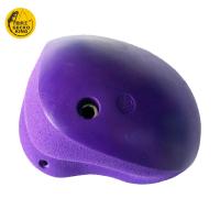 China Experience the Thrill with Gecko King Playground Wall Climbing Holds for sale