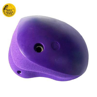 China Experience the Thrill with Gecko King Playground Wall Climbing Holds for sale