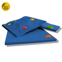 China 1000mm*1000mm*50mm*8T Steel Panel Rock Climbing Walls with Weather-resistant Material for sale