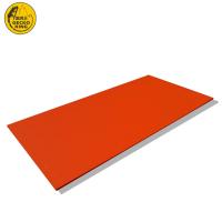 China Sports Park Occasion Kids Rock Climbing Walls with Max Capacity 100-500kg Wood Panel for sale