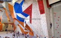 China Sports Park Occasion Kids Rock Climbing Walls with Max Capacity 100-500kg Wood Panel for sale