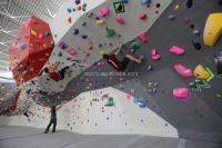 China Sports Park Occasion Kids Rock Climbing Walls with Max Capacity 100-500kg Wood Panel for sale