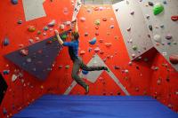 China Polywood Outdoor Wood Plywood Panels for Long-Lasting Commercial Rock Climbing Walls for sale