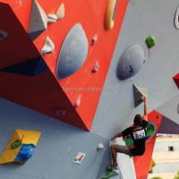 China Geckoking Rock Climbing Wall Holds Suitable for 5 Passengers Non-Inflatable and Strong for sale