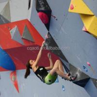 China Geckoking Rock Climbing Wall Holds Suitable for 5 Passengers Non-Inflatable and Strong for sale