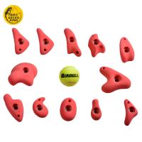 China Outdoor Rock Climbing Wall with Climbing Holds Allowable Passenger 5-10 for sale