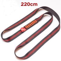 China Polyester Reinforced Yarn 220cm Sling for Quick Hanging Protection in Outdoor Climbing for sale