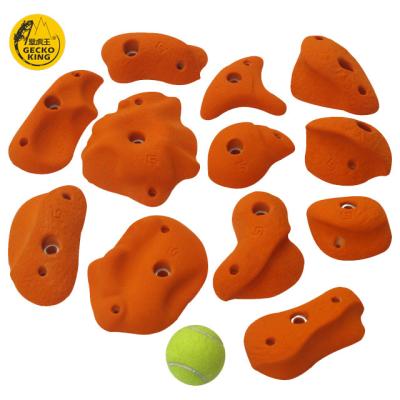 China CE Standard Rock Climbing Wall Holds for Enhanced Climbing Experience for sale