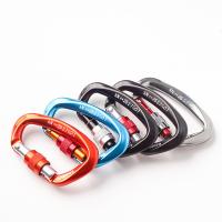 China CE Certified 99mm D Shape Carabiner Suitable for Various Rock Climbing Activities for sale