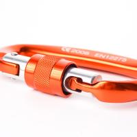China CE Certified 99mm D Shape Carabiner Suitable for Various Rock Climbing Activities for sale