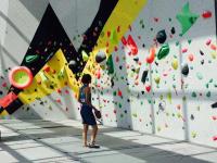 China Upgrade Your Climbing Experience with Gecoking Indoor Rock Climbing Wall Hand Pinches for sale