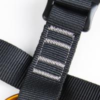 China Status Adjustable Kids Full-Body Climbing Safety Belt with CE Certificate CE Approved for sale