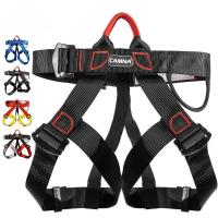 China Polyester Half-body Safety Belt Climbing Harness with CE Certificate and Strength 800KG for sale