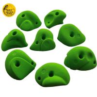 China Blue Gecko King Kids Indoor Rock Climbing Wall Stone Holds for Fun Exercise for sale