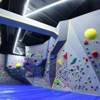 China Green Professional Indoor Rock Climbing Wall Volumes for Climbers Playground Essential for sale