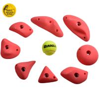 China Take Your Climbing to the Next Level with Adult M GeckoKing Rock Climbing Holds for sale
