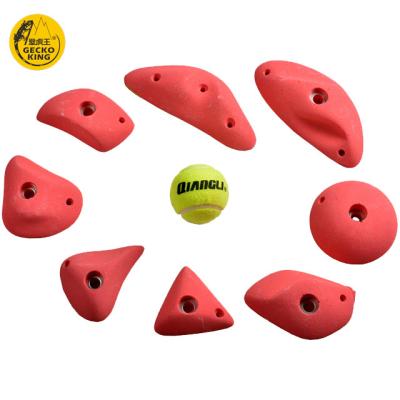 China Take Your Climbing to the Next Level with Adult M GeckoKing Rock Climbing Holds for sale