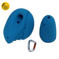 China Indoor Resin Rock Climbing Holds For Climbing Wall XL for Children and Young Adults for sale
