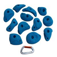 China Gecko King Adult Rock Climbing Wall Holds for Indoor Training Allowable Passenger 5 for sale