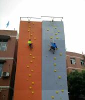 China Gecko King Adult Rock Climbing Wall Holds for Indoor Training Allowable Passenger 5 for sale