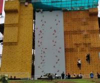 China Gecko King Adult Rock Climbing Wall Holds for Indoor Training Allowable Passenger 5 for sale