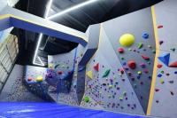 China Colorful Adult Bouldering Climbing Wall Rock Climbing Holds with Customizable Design for sale