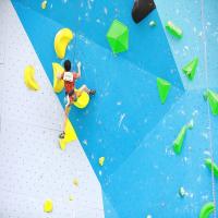 China GRP--FIBERGLASS REINFORCED RESIN Adventure Bouldering Rock Climbing Holds for Outdoor for sale