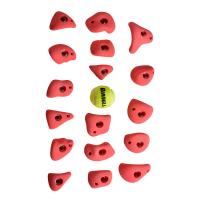 China Take Your Climbing Game to the Next Level with Adults Kids Indoor Rock Climbing Holds for sale