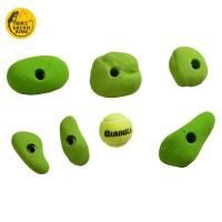 China 1740g Screw on Set Amusement Park Climbing Wall Kids Rock Climbing Holds for Advance Climbers for sale