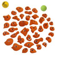 China 39 pcs Most Economical Pack of GRP Indoor Mini Rock Climbing Holds GRP Reinforced for sale