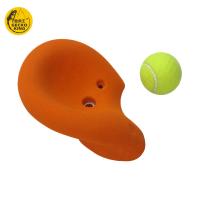 China Most Economical Adult Rock Climbing Holds 2000g Selection for Climbing Enthusiasts for sale